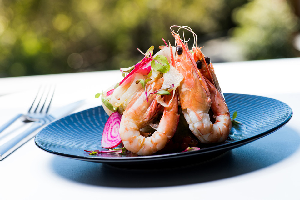 Noosa Restaurants & Dining | Peppers Noosa Resort & Villas
